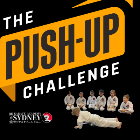 K.A.S Joins the Pushup for Better Challenge! | Karate Academy Sydney
